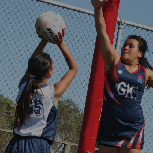 Netball Sports Gear and Accessories - Sports Distributors